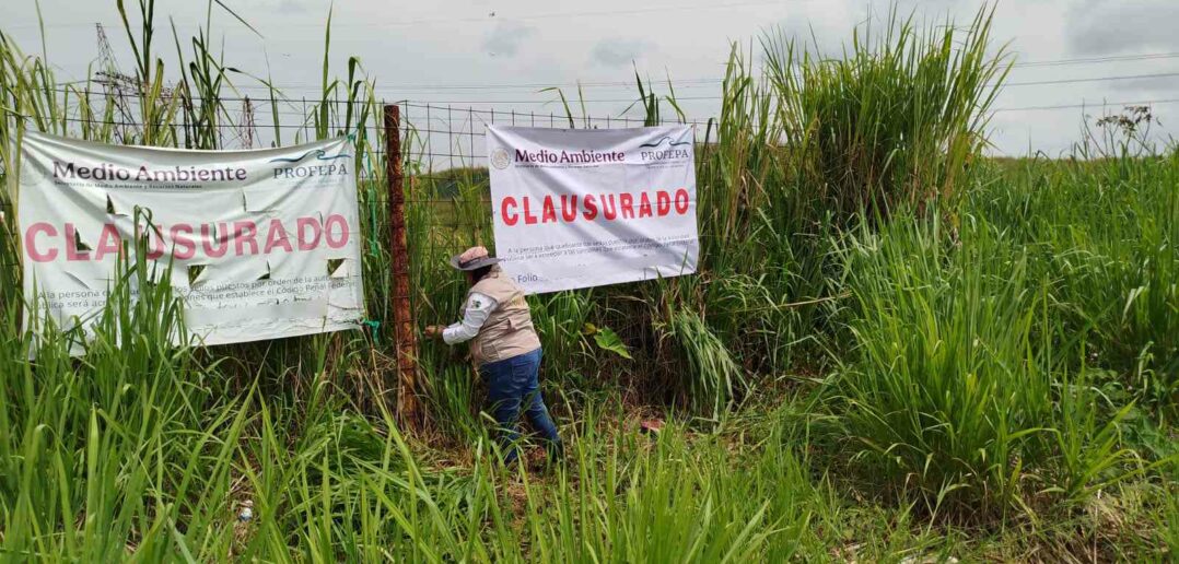 Clausura total definitiva y multa de más de 18 millones al tiradero de ...